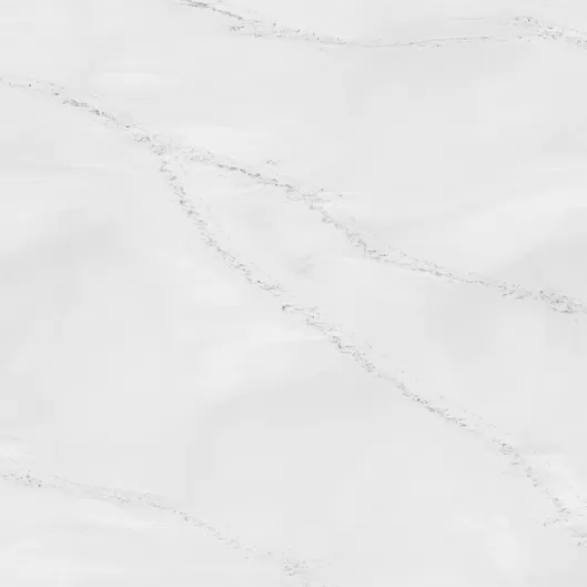Venato Blanc - Hanex Solid Surfaces